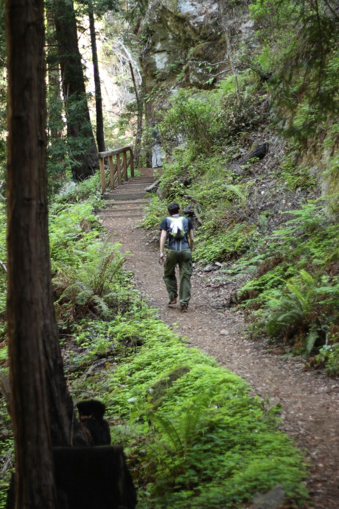 Big Sur: Tanbark Trail to Tin House - Switchback to Wild